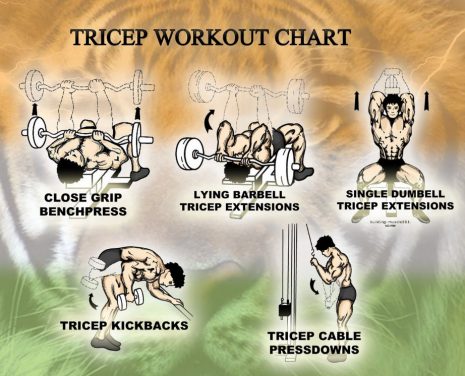 Tricep workout chart for GYM!