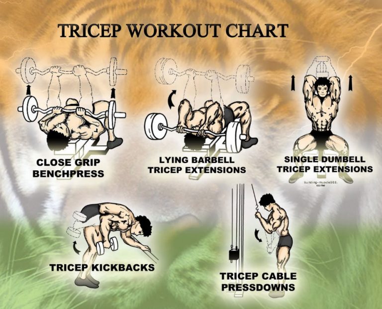 Tricep workout chart for GYM!