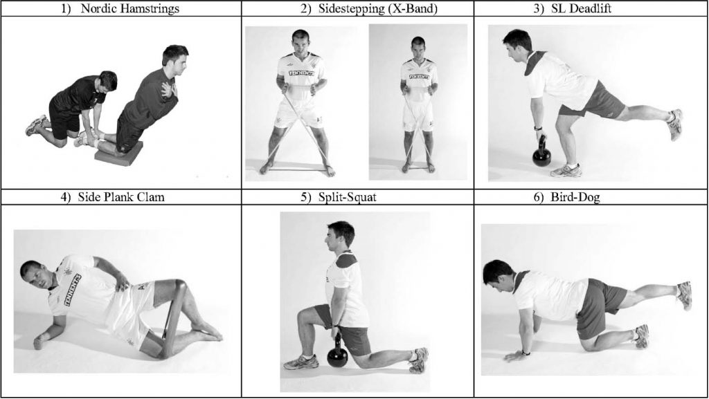 general strengthening exercises