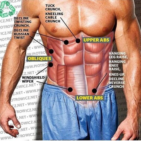 Structure ABS
