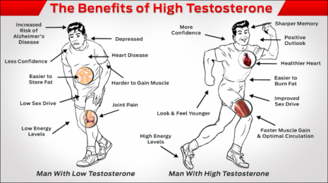 Foods That Help to Increase Testosterone Quickly and Naturally