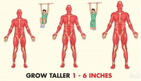 Tips on How to Grow Taller Naturally - Amazing Ways to Increase Your ...