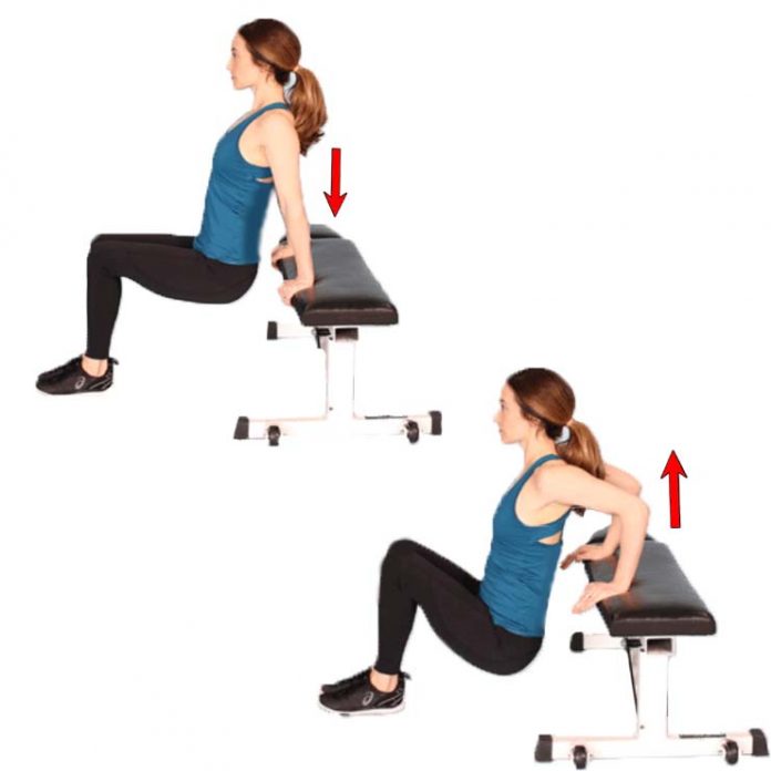 How to Do Bicep and Tricep Workout for Women, Tips & Benefits