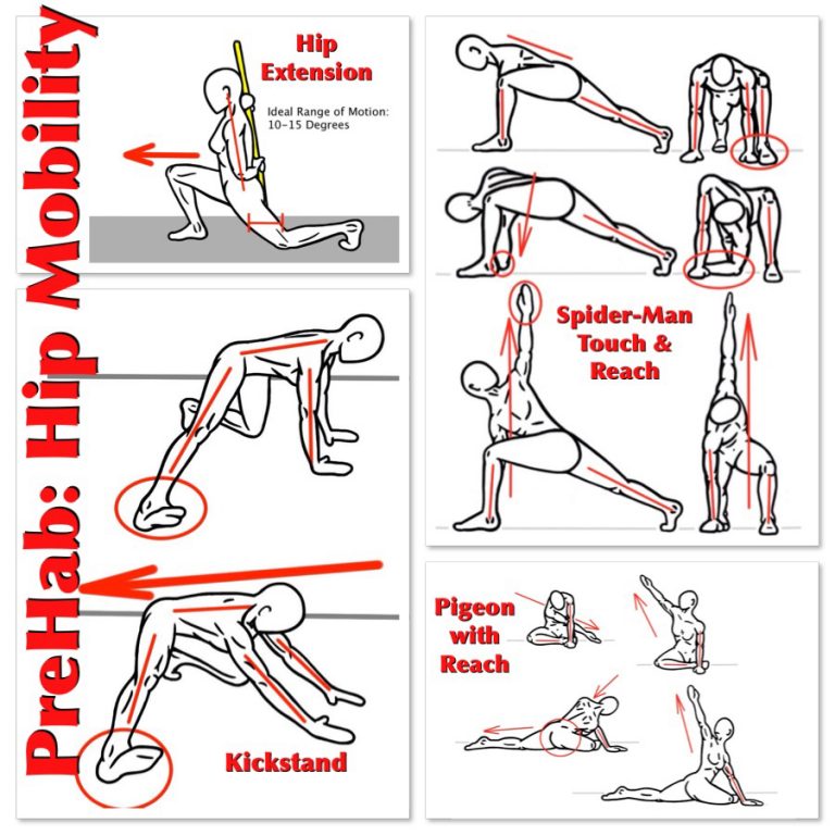 Hip Mobility is important for Human Movement!
