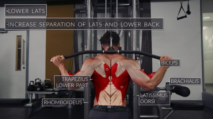 Exercise Anatomy Back Workout