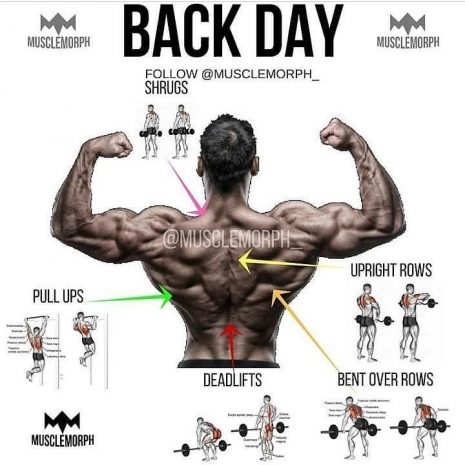 Back DAY for GYM