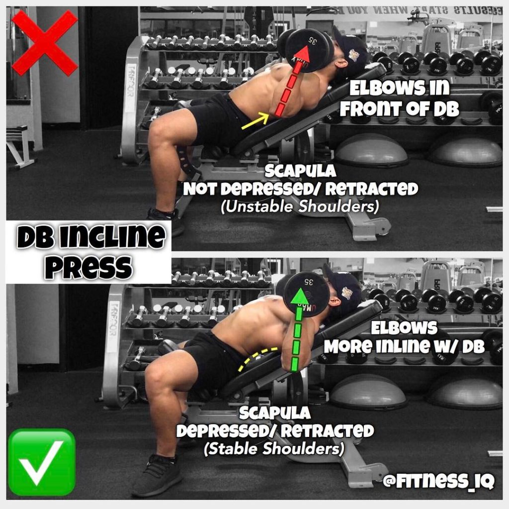 How to Incline Barbell & Dumbbell Bench Press | Videos & Guides