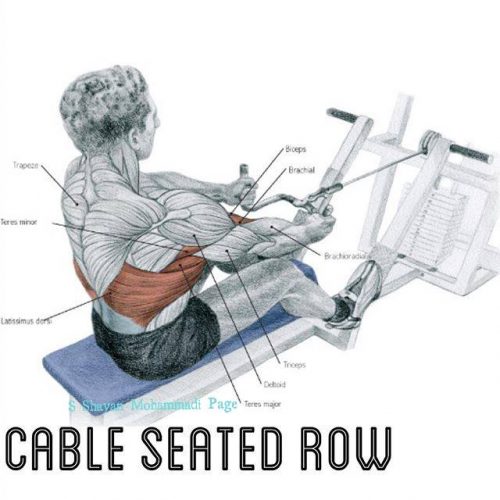 cable seated row