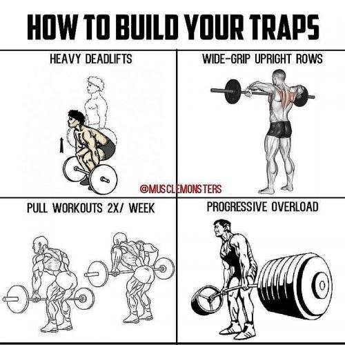 how to build your traps