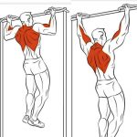 back day exercises