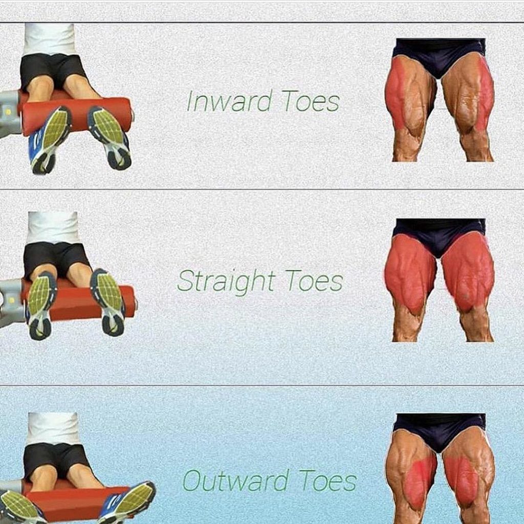 Legs exercises | Seated Leg Extensions