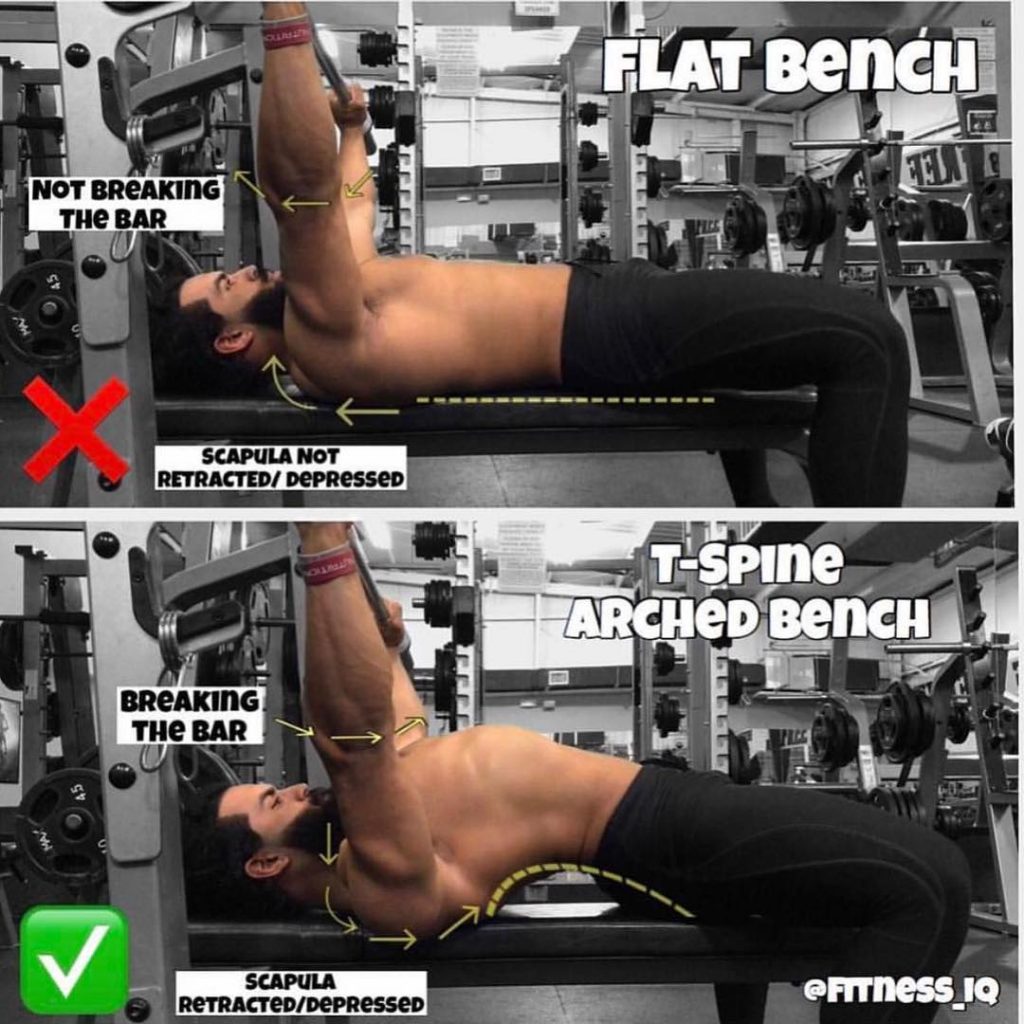 How to bench press | correctnes chest exercises