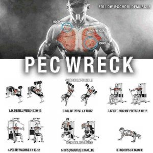 chest exercises