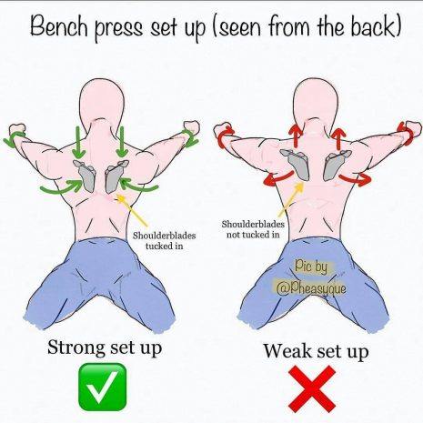chest exercises correctnes