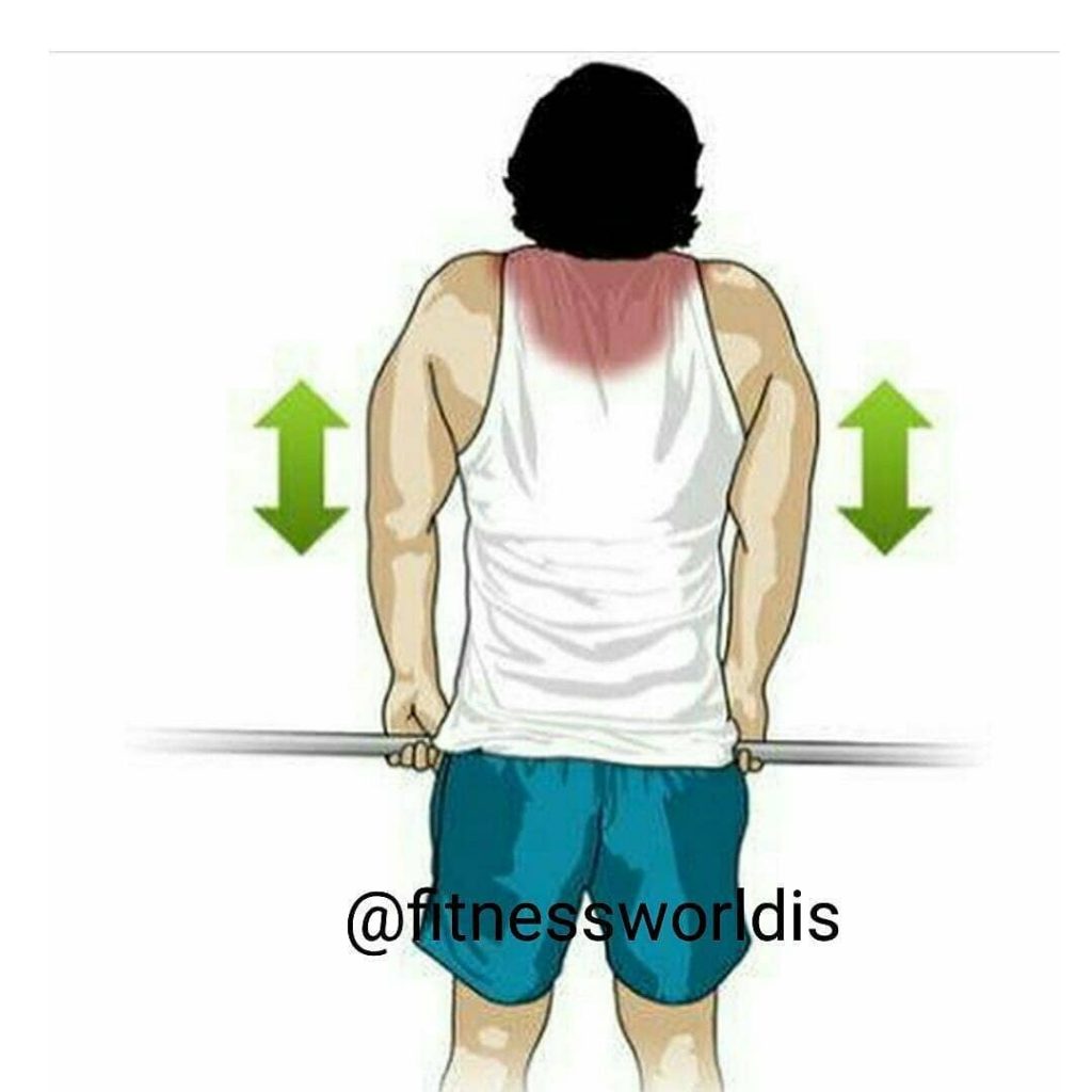 back day exercises