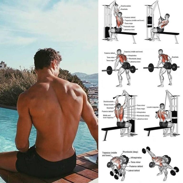 Exercises for Huge Back | Training Programs - weighteasyloss.com