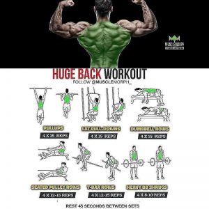 back day exercises