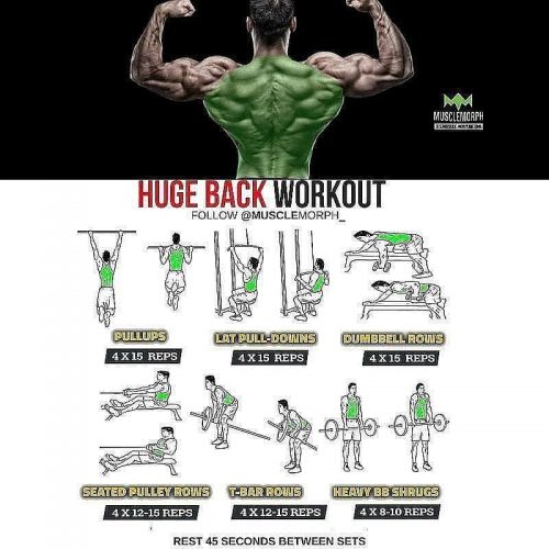back day exercises