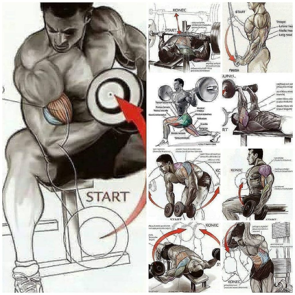 biceps exercises, best gain mass