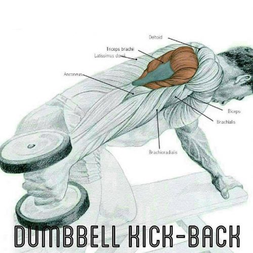 Dumbbell kick -back