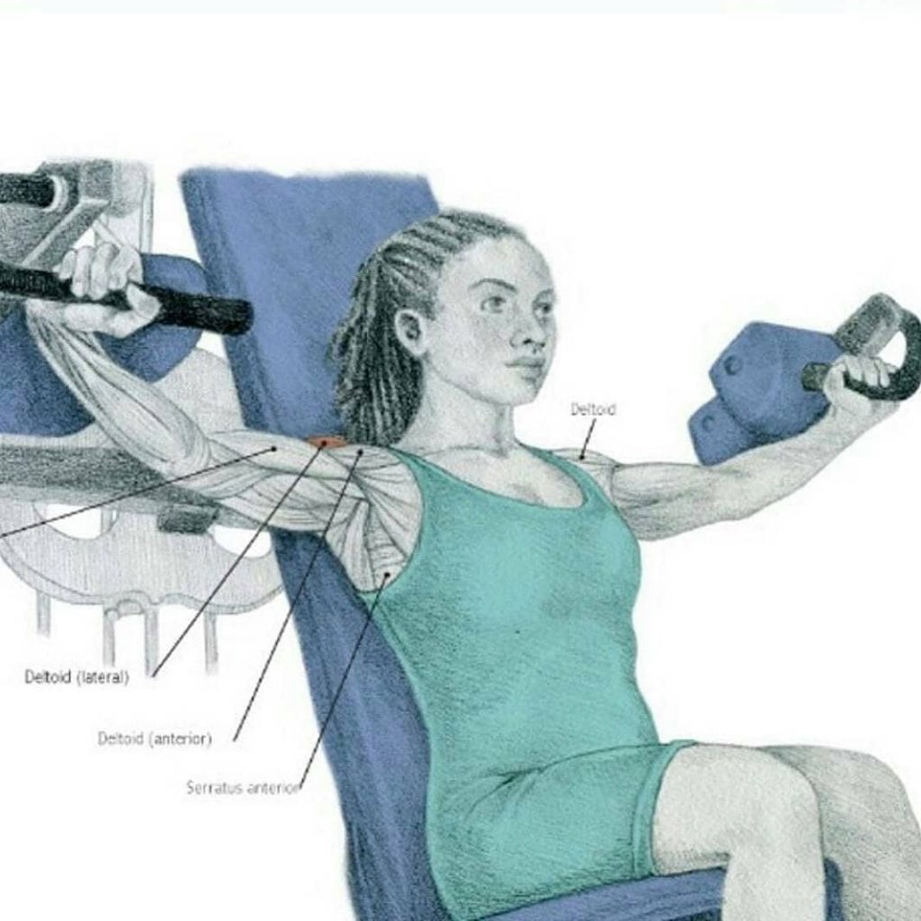 complex shoulder exercises