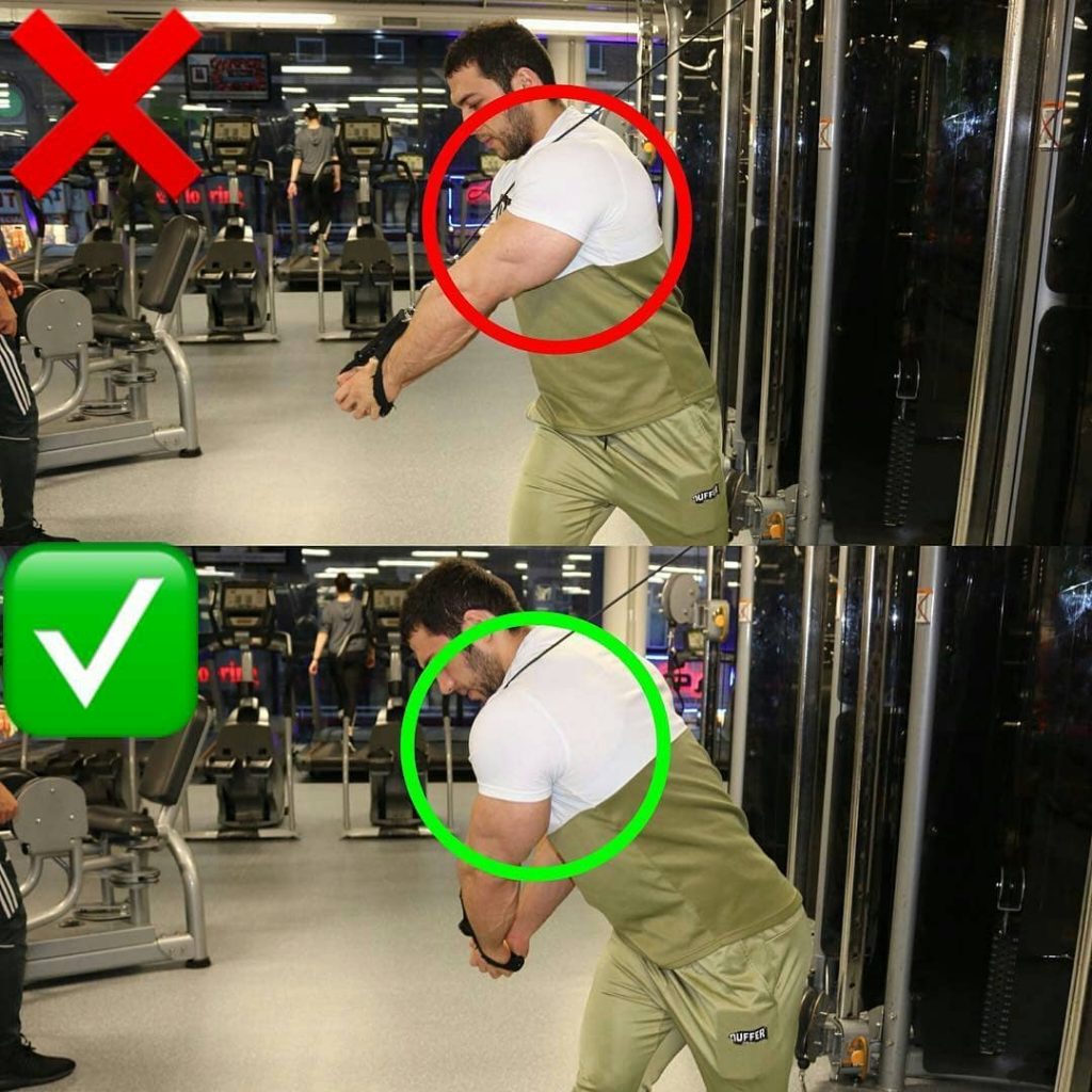 Chest & shoulder extension