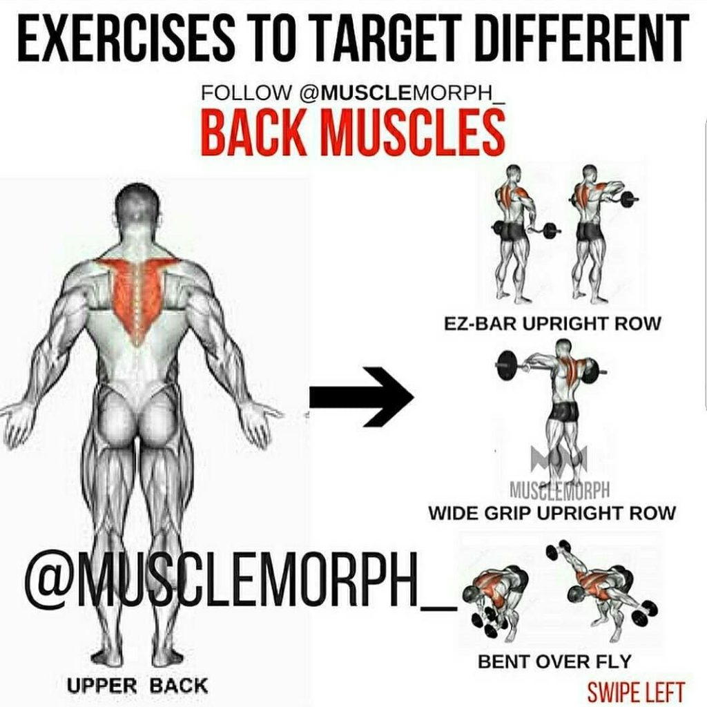 Back muscles training