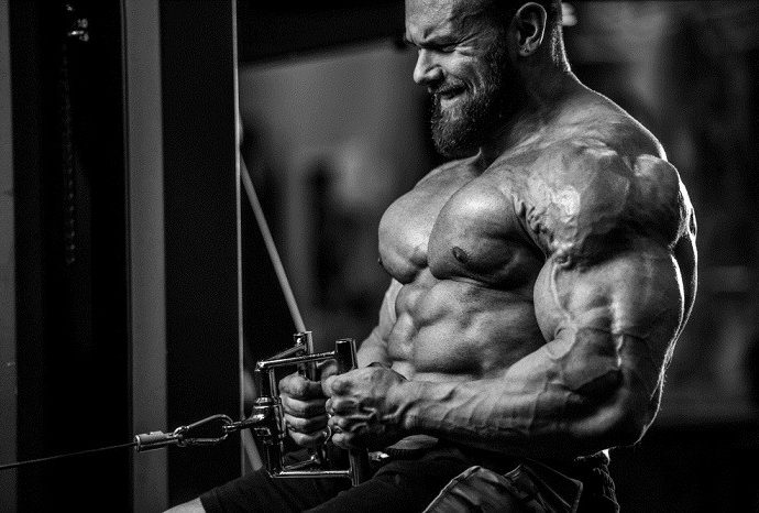 BUILD CHEST MASS GUIDE