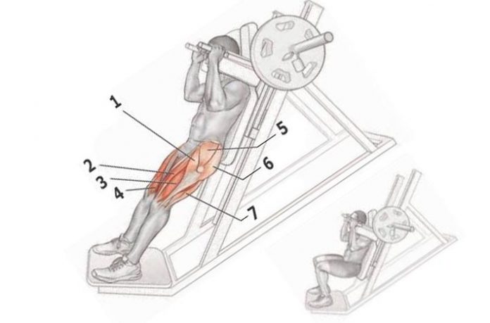 Hack Squats: Technique, Benefits, and Recommendations