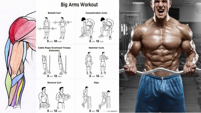 Video- How to correctnes bipecs exercises