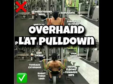 How to Pull down | Exercise Videos & Guides - weighteasyloss.com
