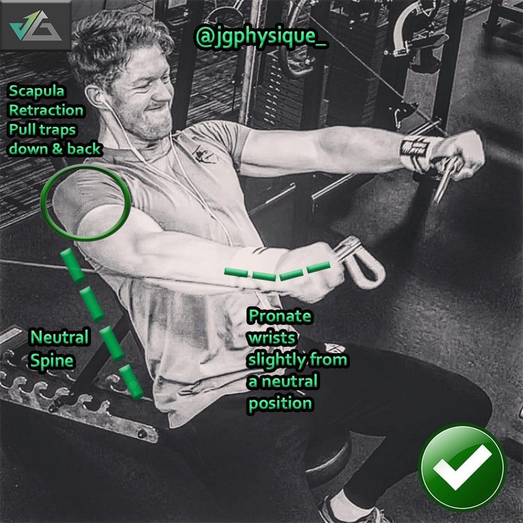 How to Seated Cable Fly | Exercise Videos & Guides