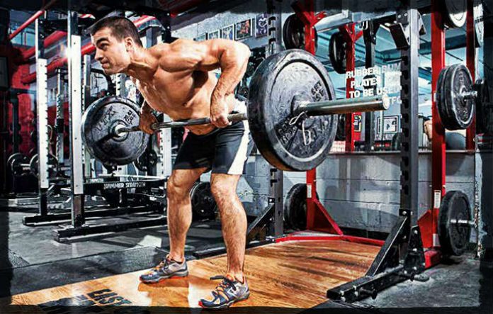 3 Key Exercises For Back Day | Exercise Videos & Guides