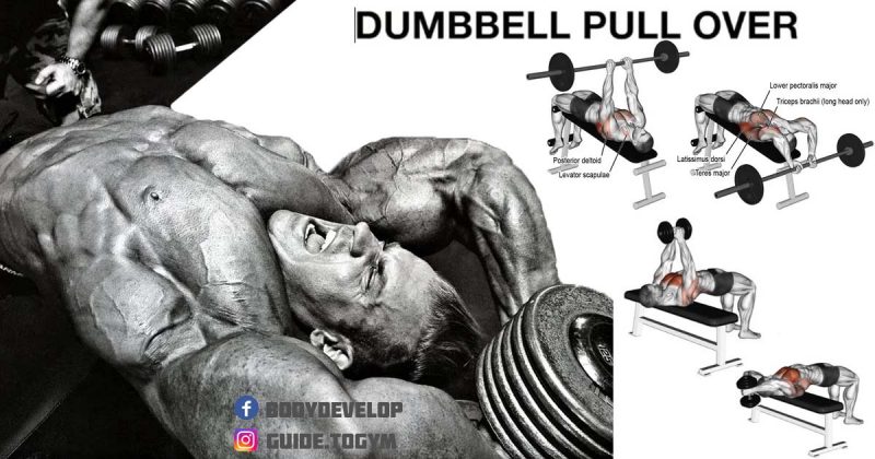 How to Do the Dumbbell Pull-Over for Big a Wide Back and Chest Muscle