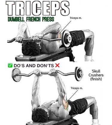 How to Dumbbell & Barbell French Press | Videos & Guides