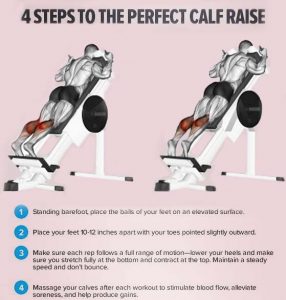 How to Calf Raise Plate Loaded Variation | Exercise Video & Guide