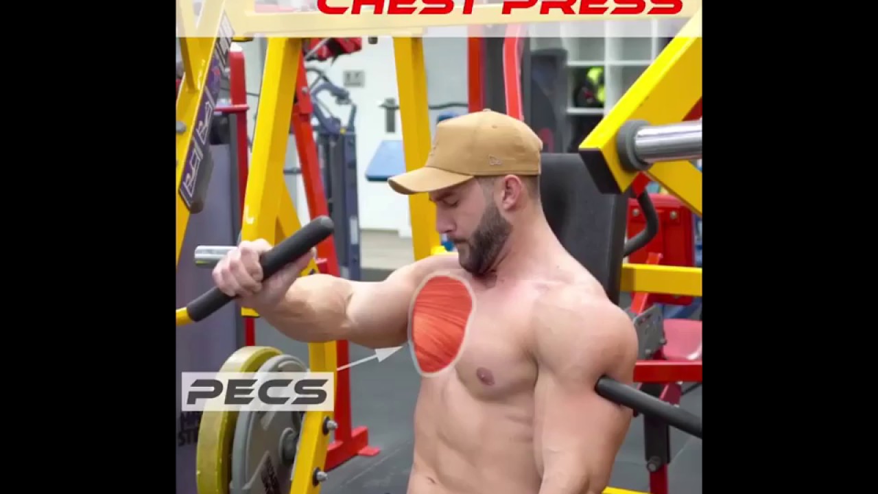 HOW TO SINGLE ARM MACHINE CHEST PRESS | Videos & Guides