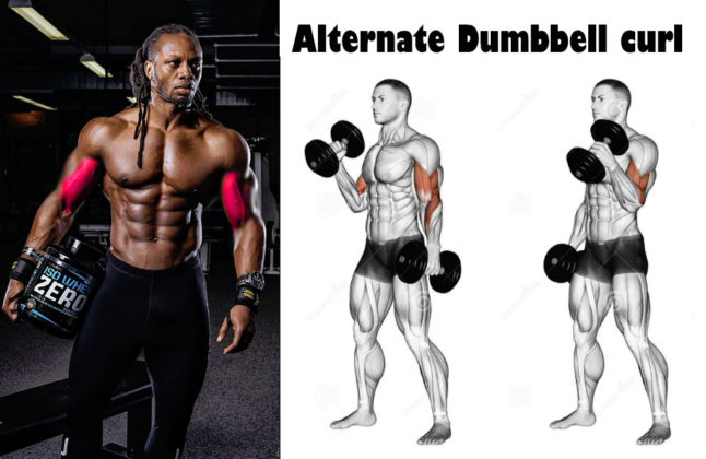 FULL ARM WORKOUT | Video & Guide - weighteasyloss.com