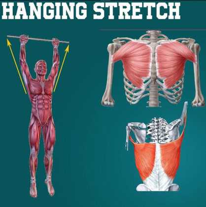HOW TO HANGING STRETCH | Kinetics Guide - weighteasyloss.com
