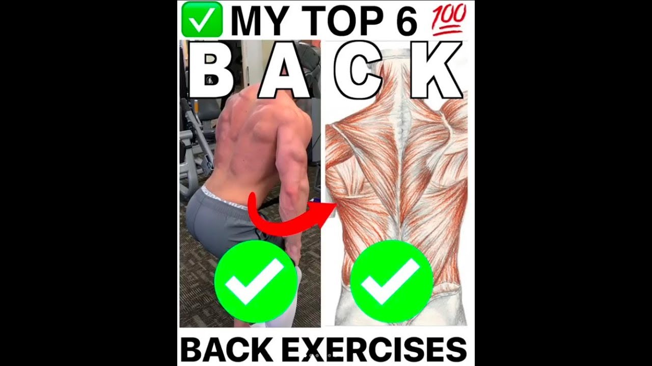 TOP BACK EXERCISES | Video & Guide