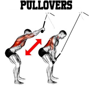How to Do Serratus Pullover, Technique, Benefits, Variations