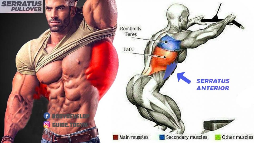 How to Do Serratus Pullover, Technique, Benefits, Variations