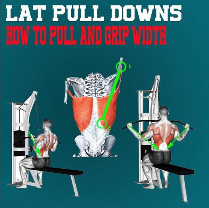 LAT PULL DOWN BAR PATH AND GRIP