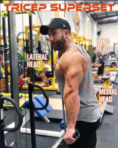 TRY THESE TOP TRICEP EXERCISES | Guide