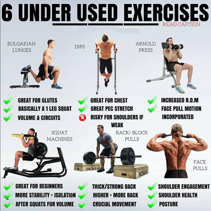 6 UNDER USED EXERCISES| Guide