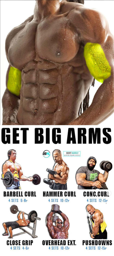 HOW TO GET BIG ARMS | Guide