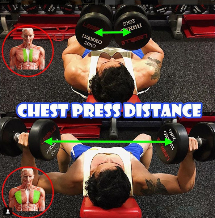 Chest Press Distance | Guide