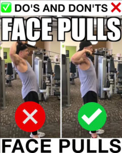 Face Pulls Proper Form | Video & Guide