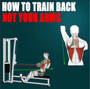 HOW TO TRAIN YOUR BACK NOT YOUR ARMS