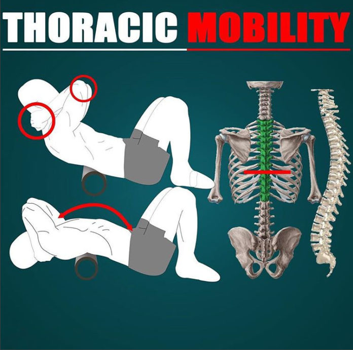 THORACIC MOBILITY | GUIDE